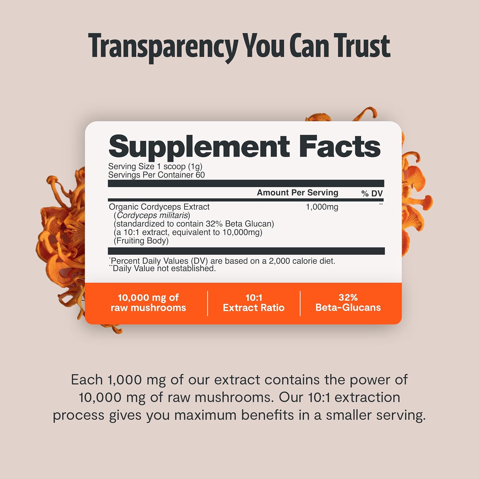 freshcap cordyceps for enhanced performance