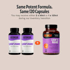 FreshCap lion's mane capsules for focus