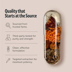 FreshCap mushroom capsules for daily health
