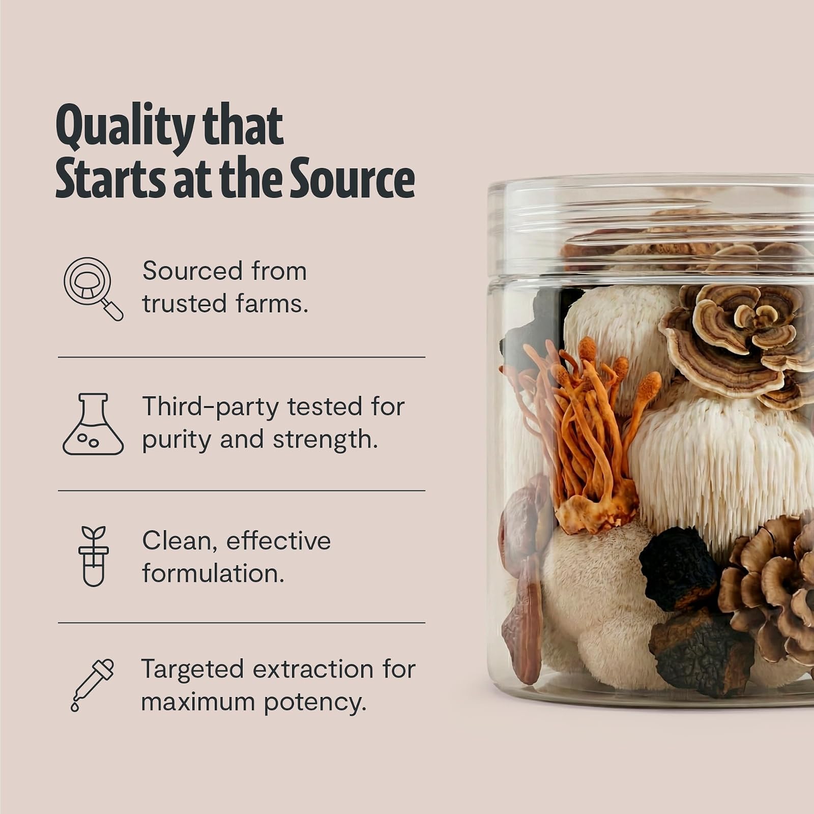 FreshCap mushroom powder for immune support