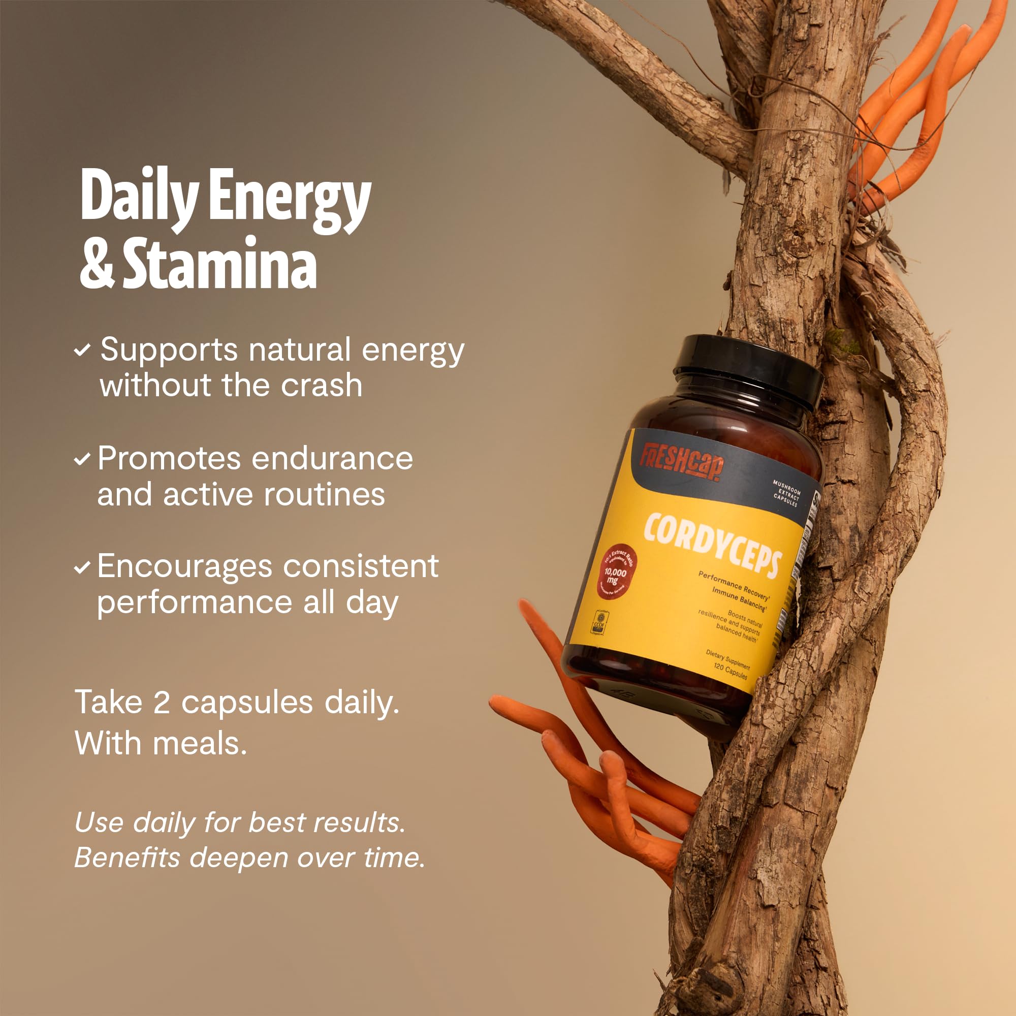 freshcap organic mushroom benefits