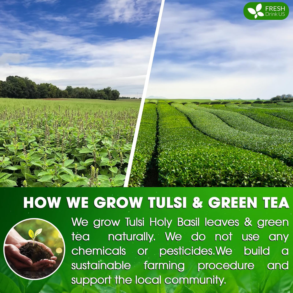 FreshDrinkUS green tea extract benefits