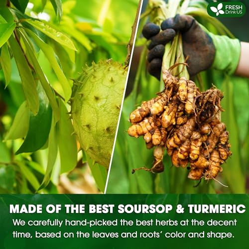 FreshDrinkUS herbal tea benefits