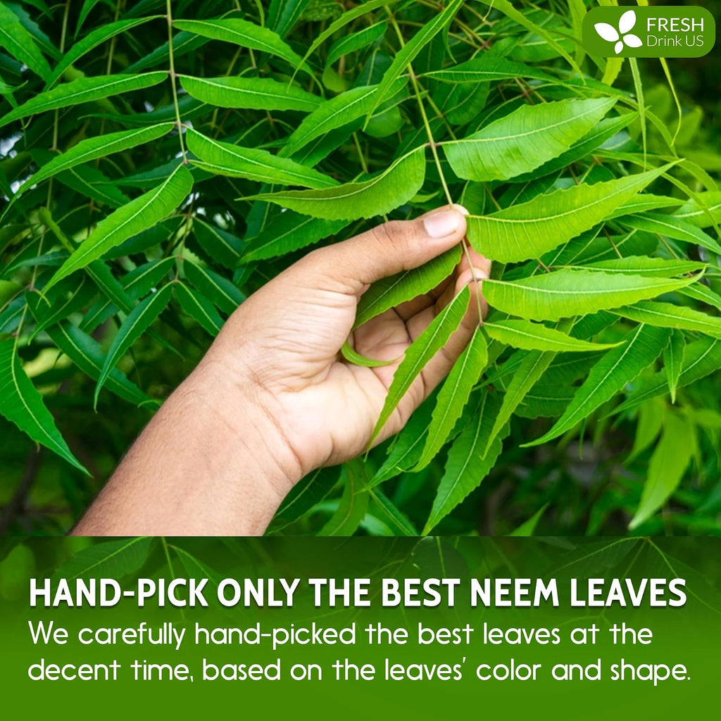 FreshDrinkUS neem powder for skin health