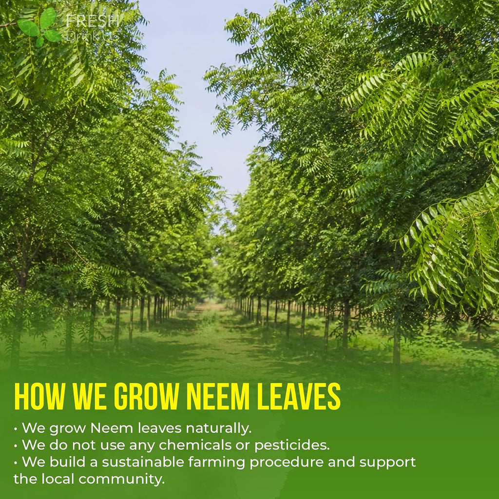 FreshDrinkUS neem tea for wellness