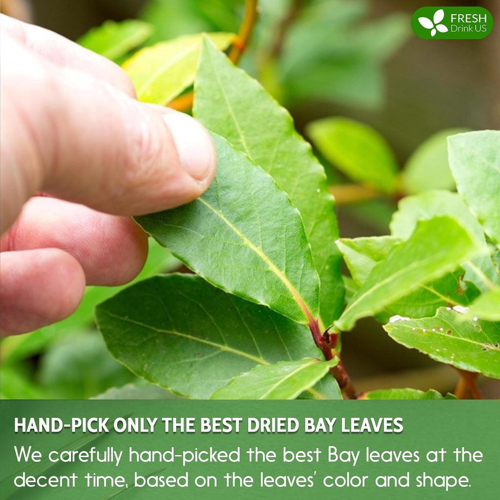 FreshDrinkUS premium bay leaf tea