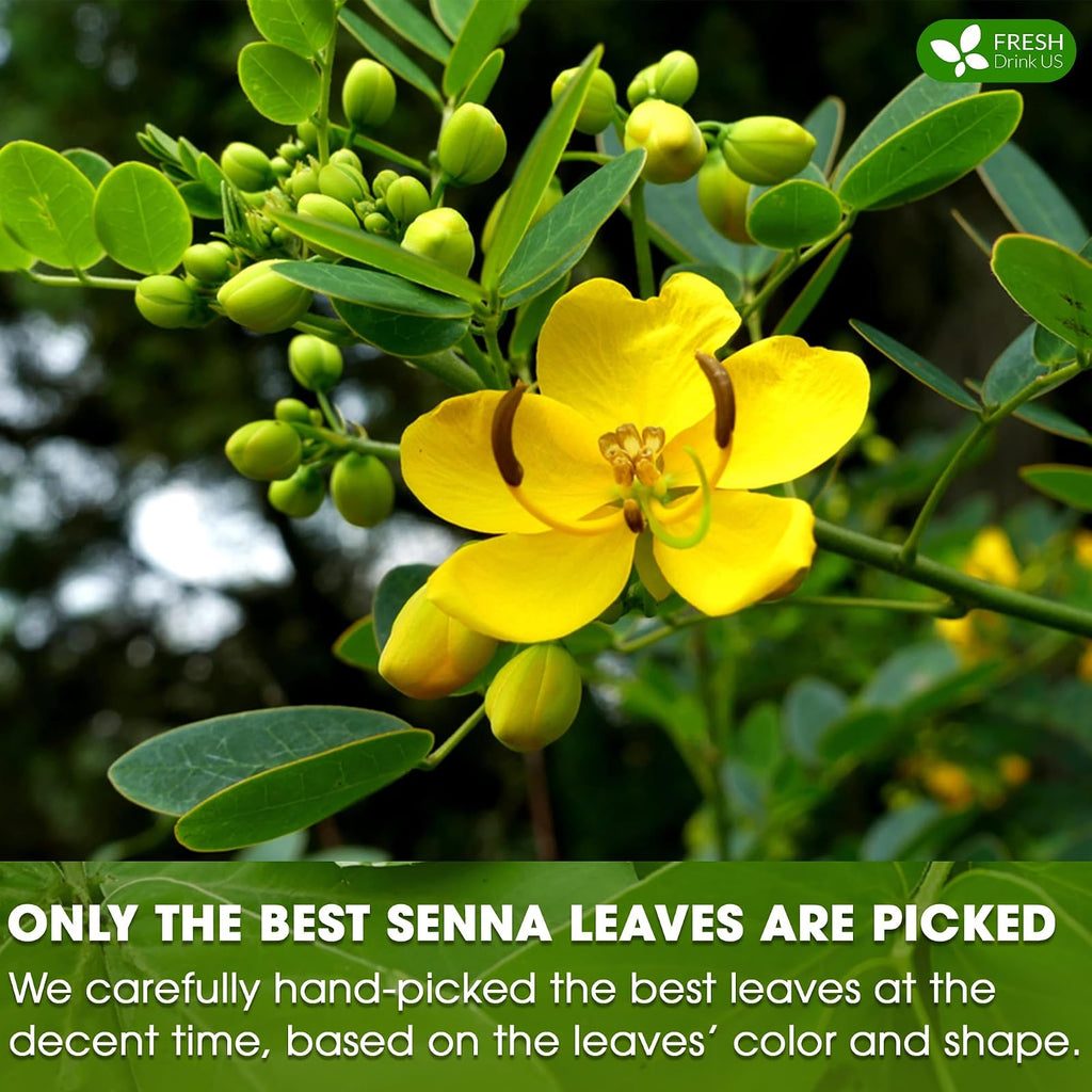 freshdrinkus senna tea for wellness
