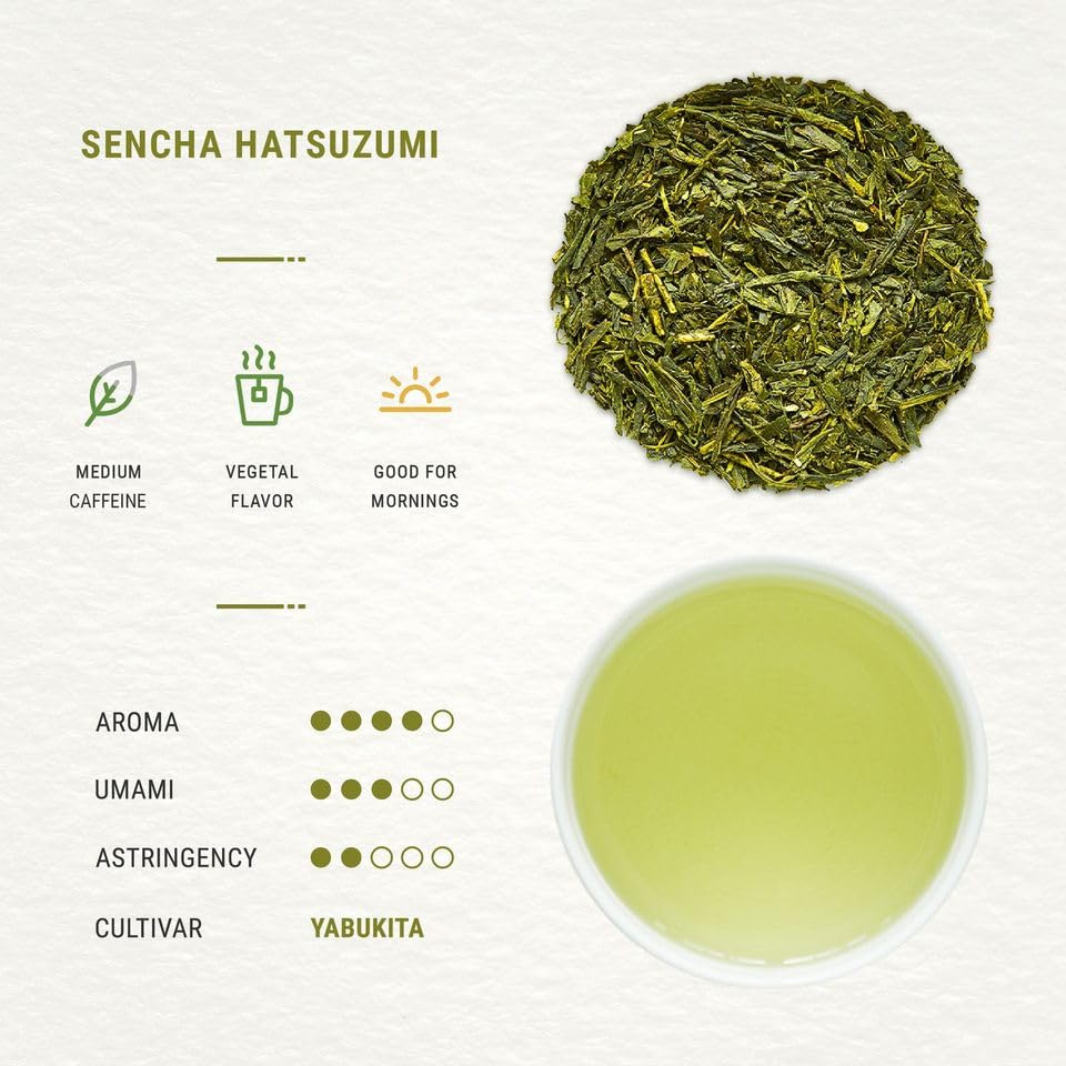 freshly harvested green tea leaves