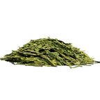 freshly harvested green tea leaves