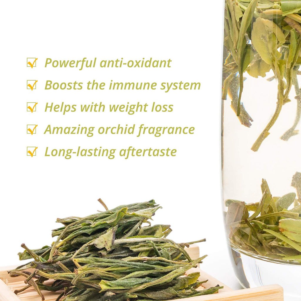 freshly harvested Huangshan green tea