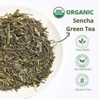 freshly harvested sencha green tea