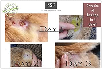 frostbite relief for pets