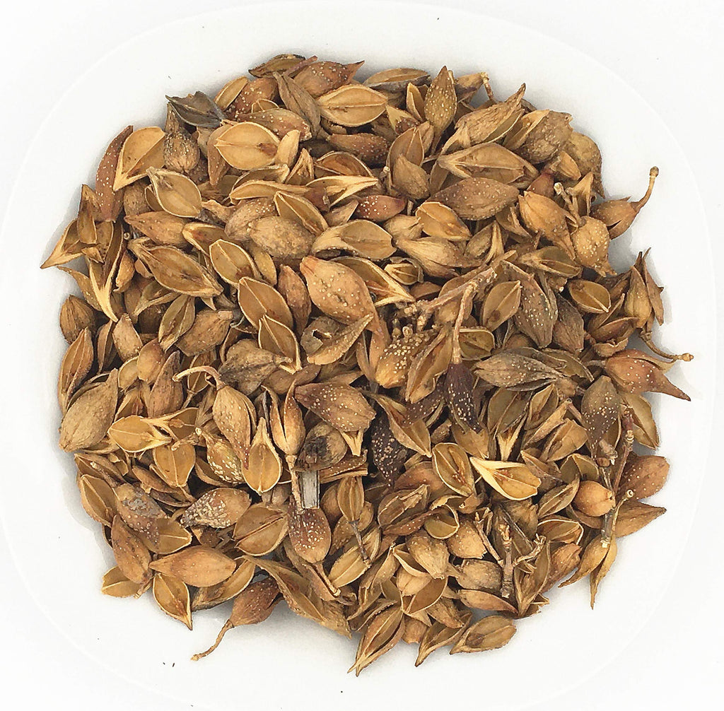 Fructus Forsythiae benefits for health