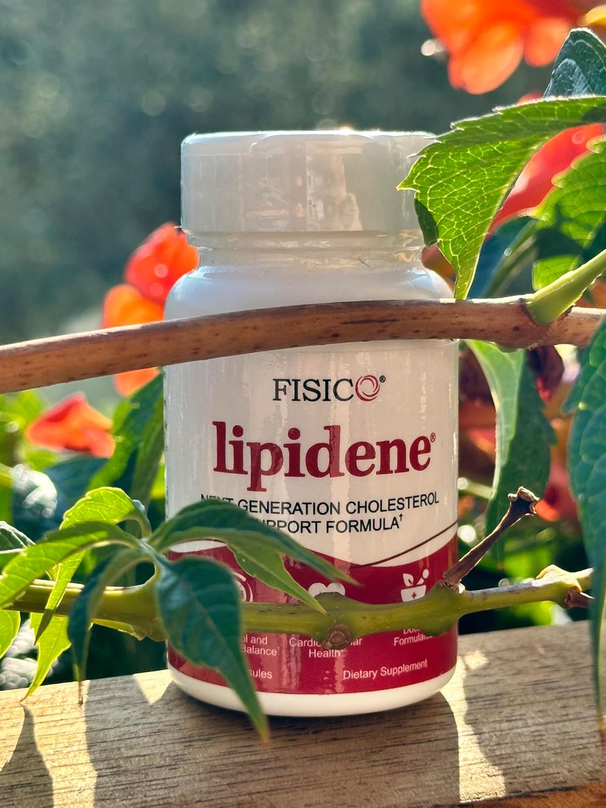 Fruit extract capsules for balanced lipids