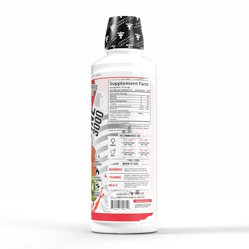 Fruit punch L-Carnitine for workouts