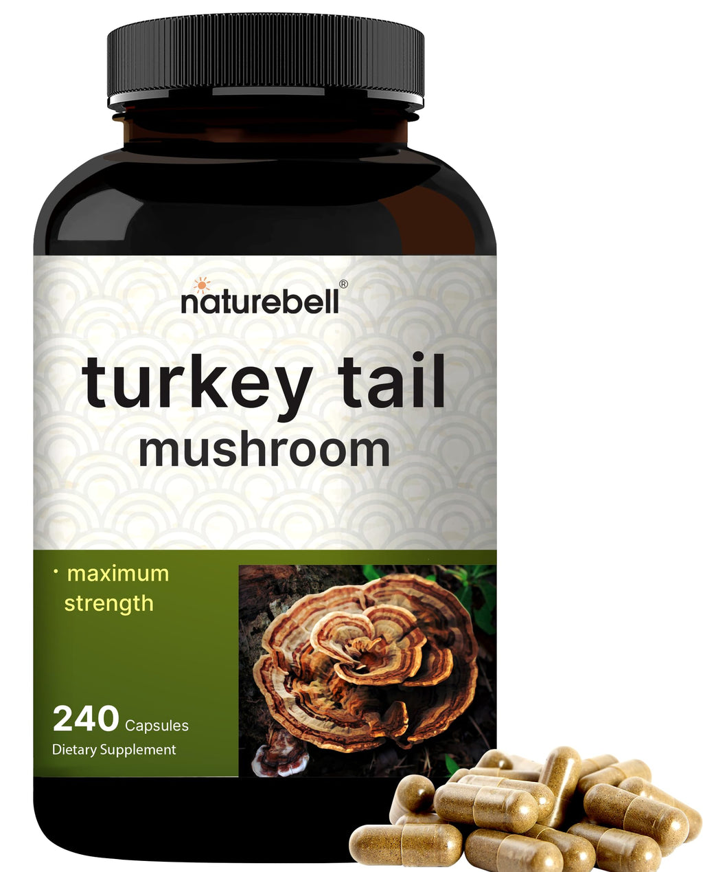 Fruiting body and mycelium mushroom extract benefits