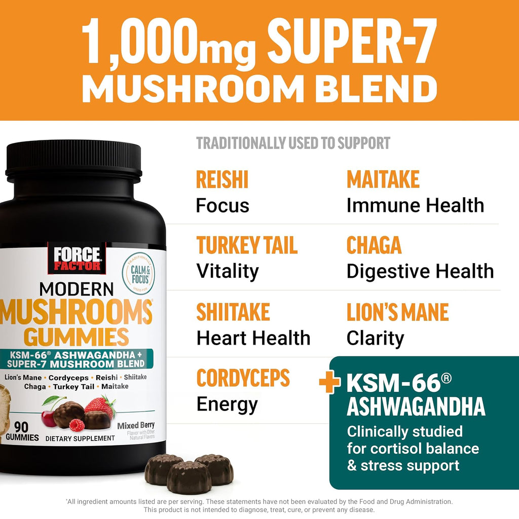 Fruiting body mushroom blend benefits