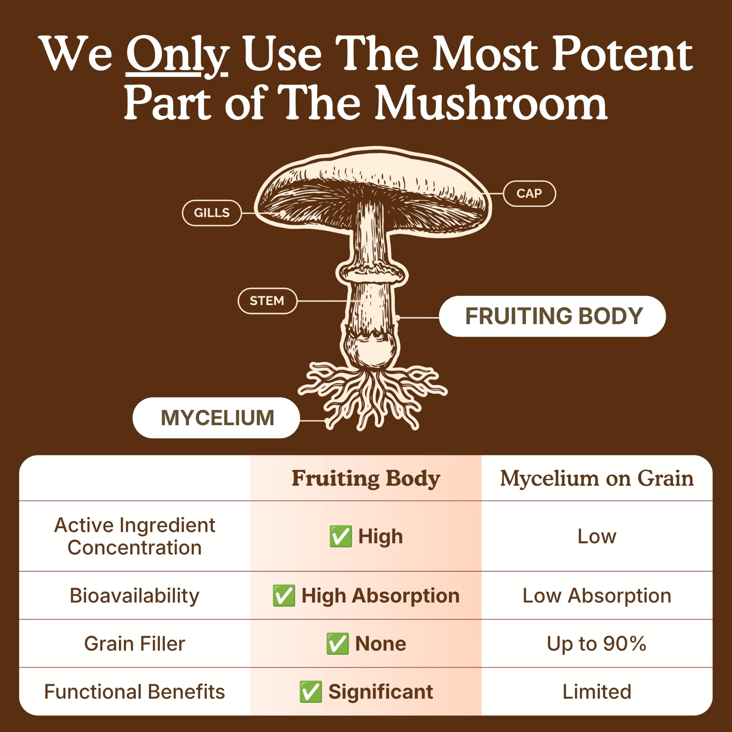 fruiting body mushrooms for health