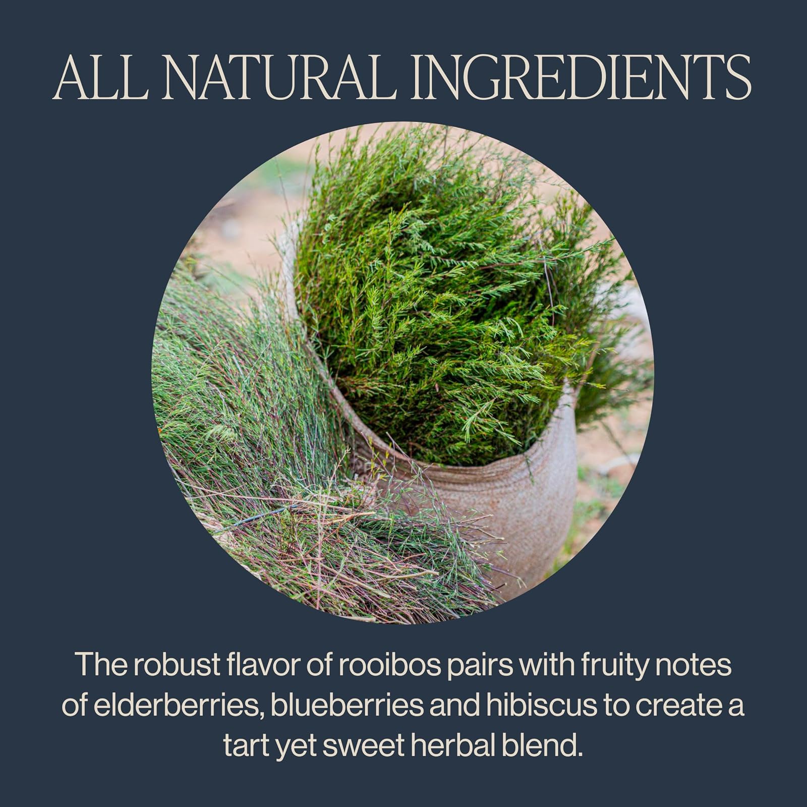 fruity blueberry herbal infusion