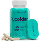 fucoidan brown seaweed extract benefits