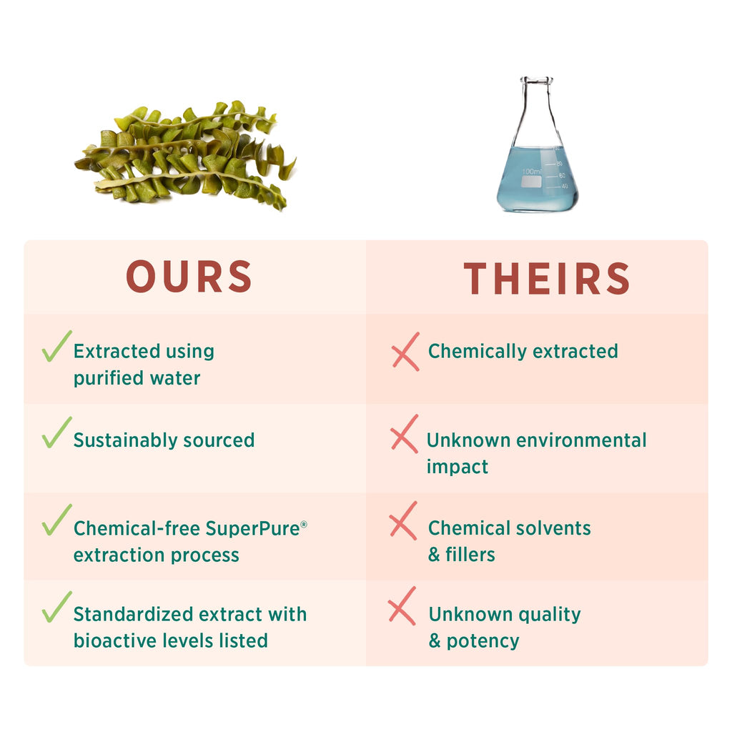fucoidan extract for vitality and longevity