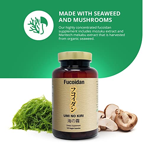 fucoidan for digestive health