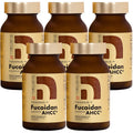 Fucoidan immunity supplement benefits
