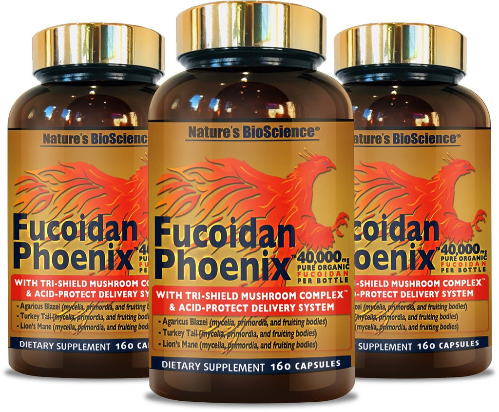 Fucoidan Phoenix mushroom supplement benefits