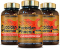 Fucoidan Phoenix mushroom supplement benefits