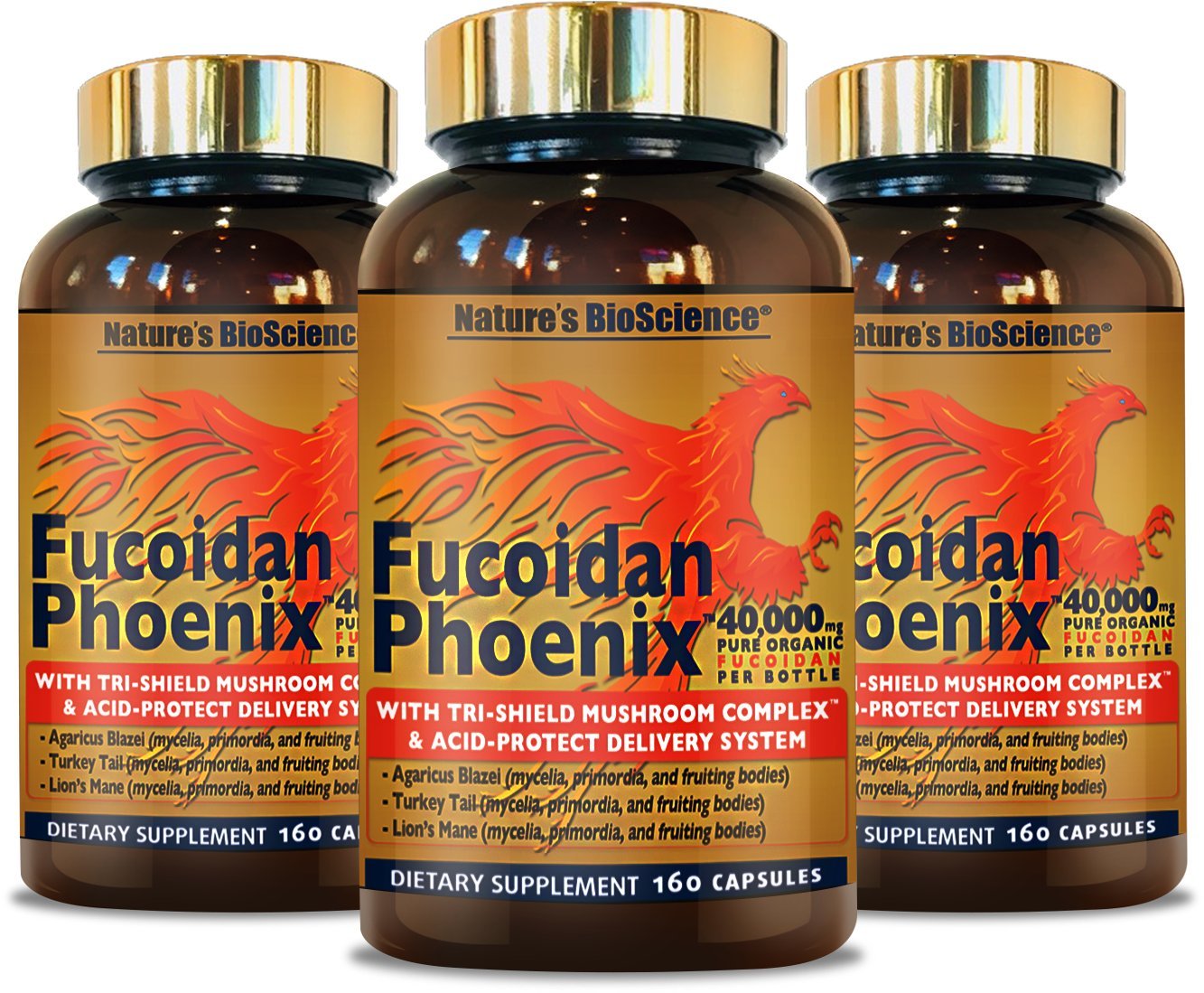 Fucoidan Phoenix mushroom supplement benefits