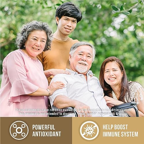 fucoidan-rich algae supplement