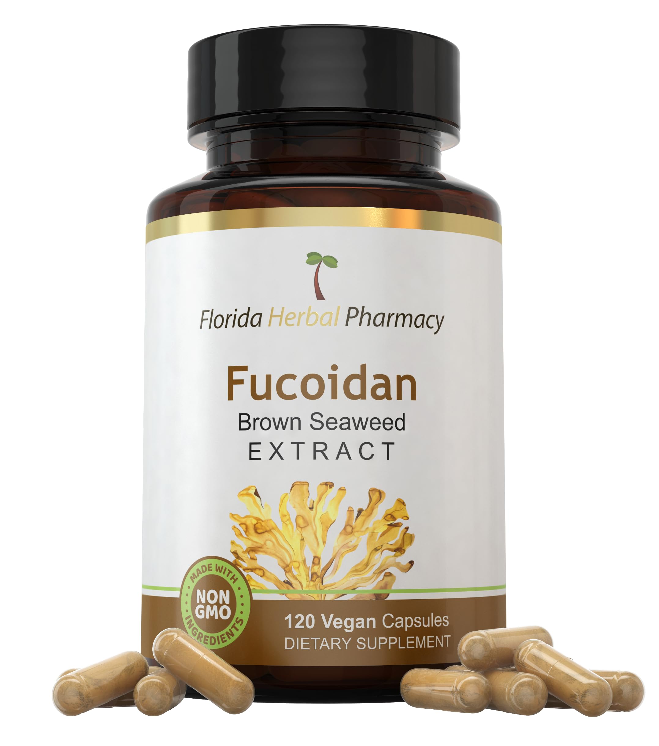 fucoidan supplement capsules for wellness
