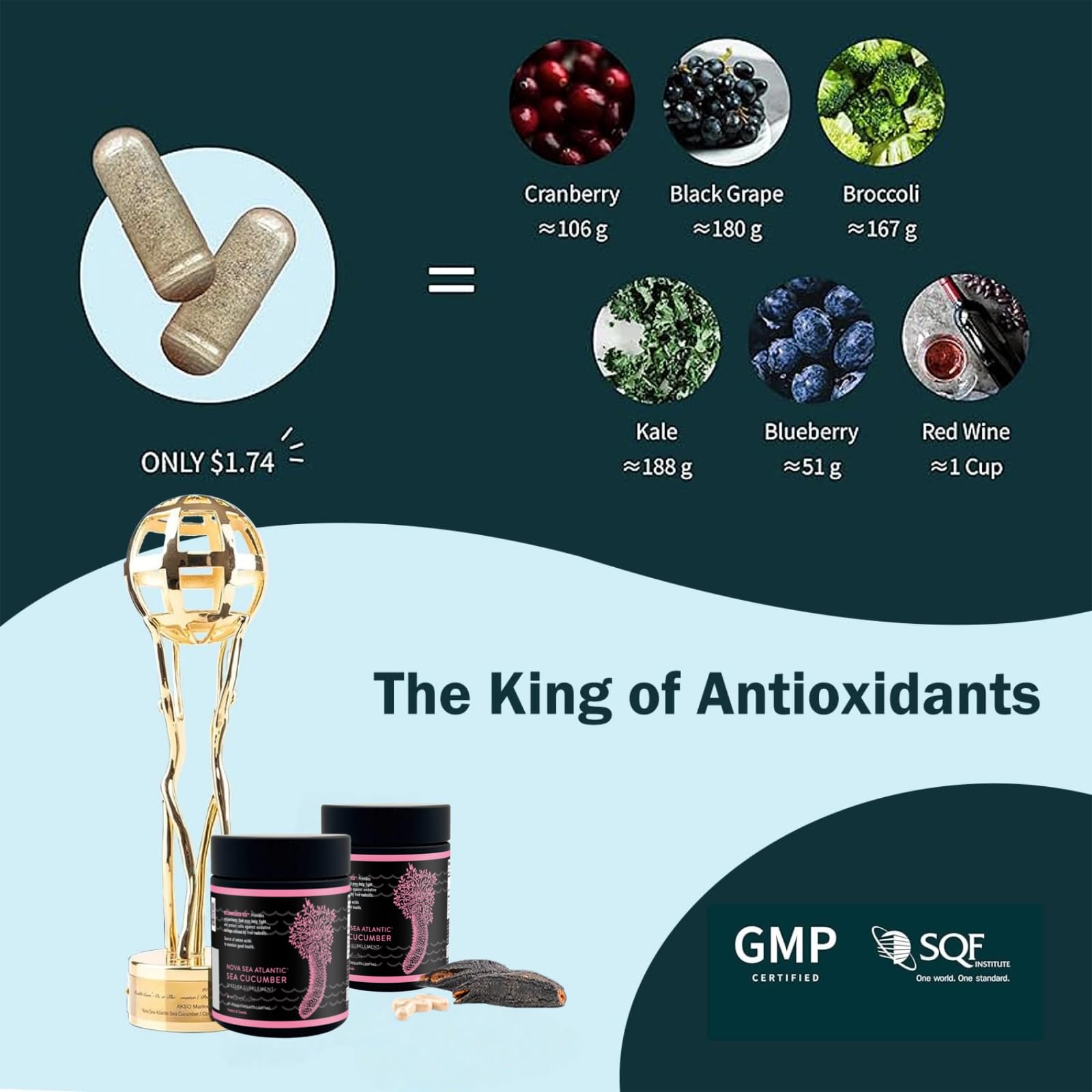 fucosylated vitamins for enhanced absorption