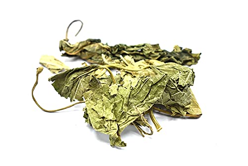 FUHENG alfalfa for wellness