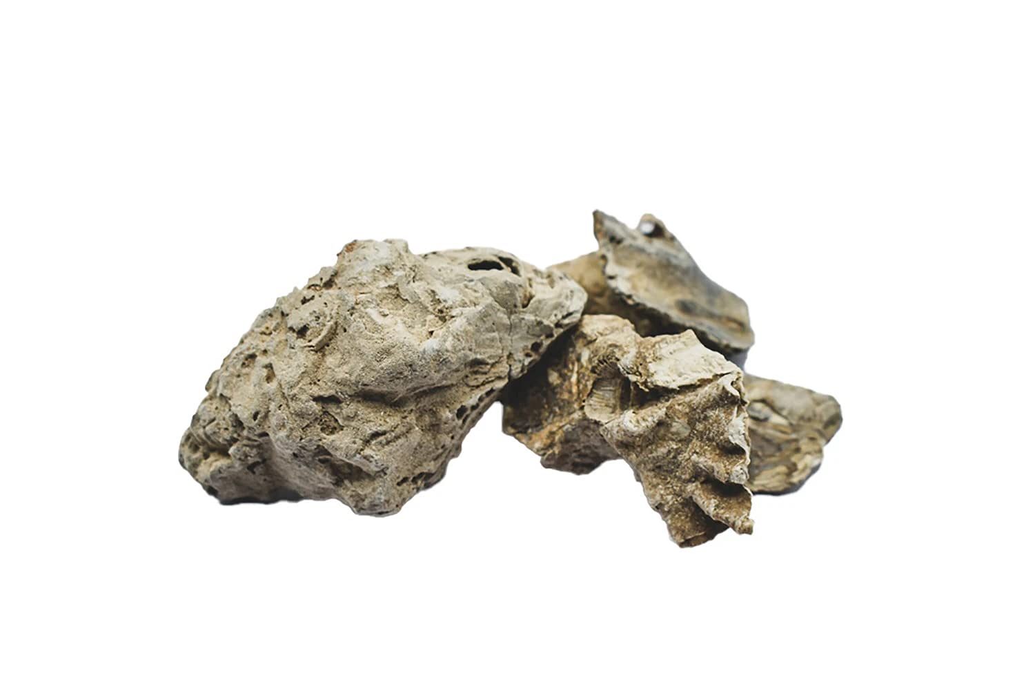 FUHENG alfalfa shell benefits
