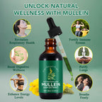 FUKEVY Mullein extract 1000 mg benefits