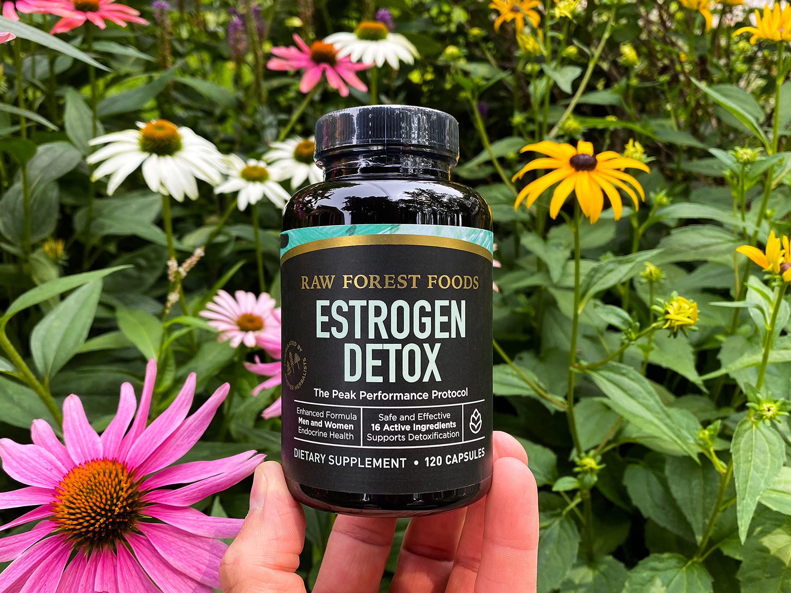 full protocol with active ingredients