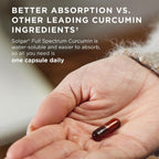 full spectrum curcumin for wellness