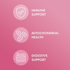 full spectrum digestive enzymes formula
