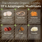 full-spectrum mushroom powder benefits