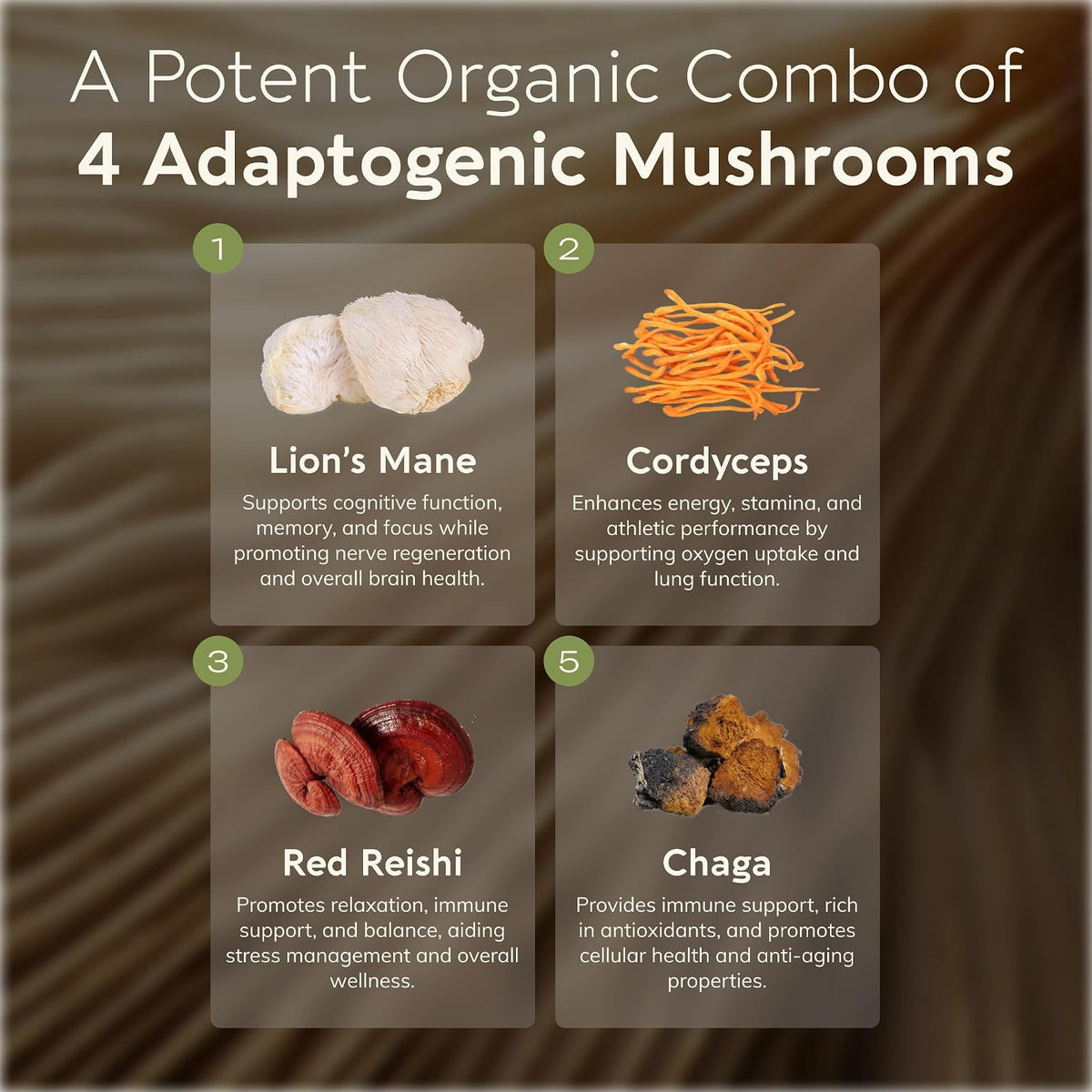Full-spectrum mushroom powder for vitality