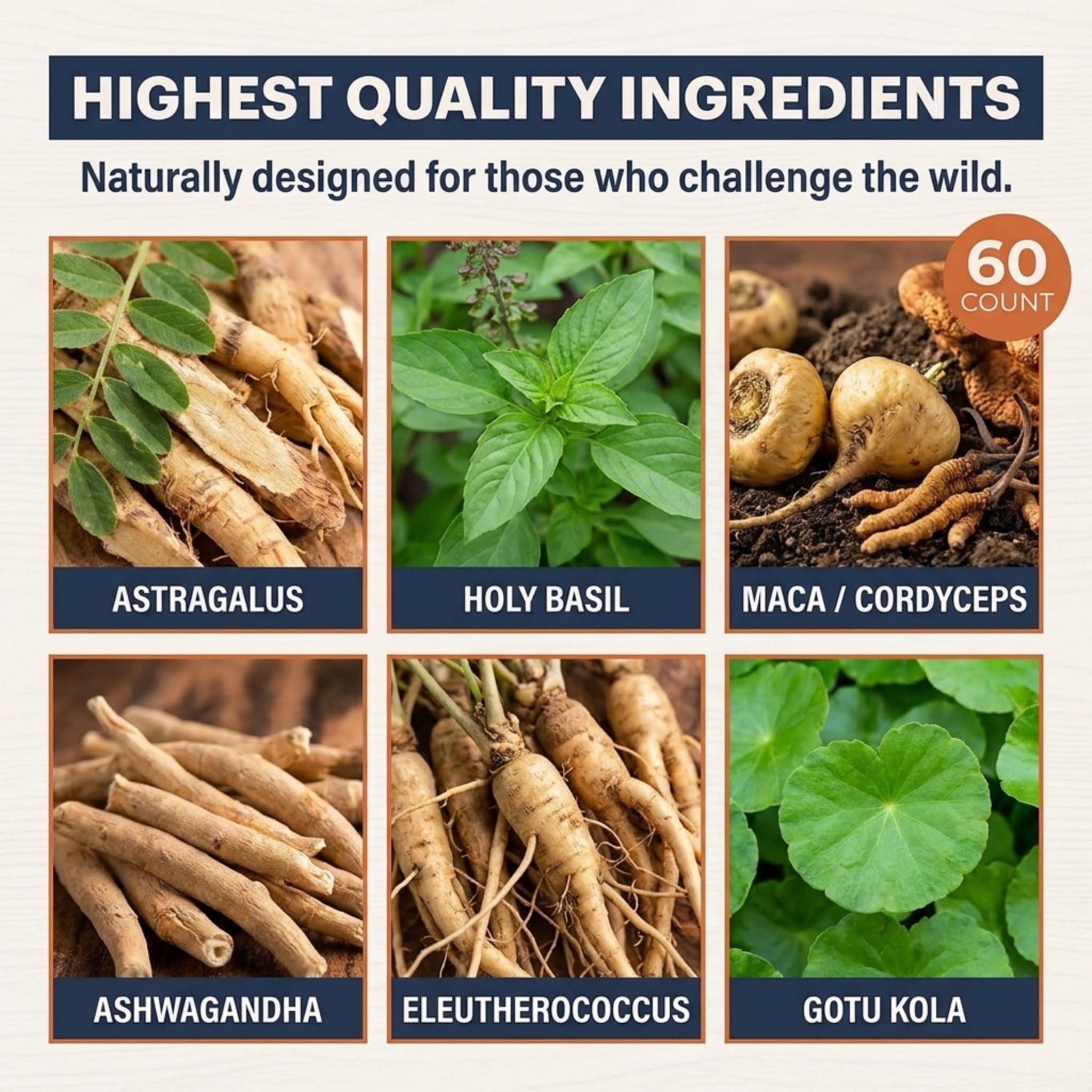 full spectrum mushrooms for daily wellness