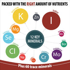 full spectrum trace minerals supplement