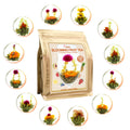 FullChea blooming flowering tea variety
