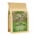 FullChea Eyebright herbal tea benefits