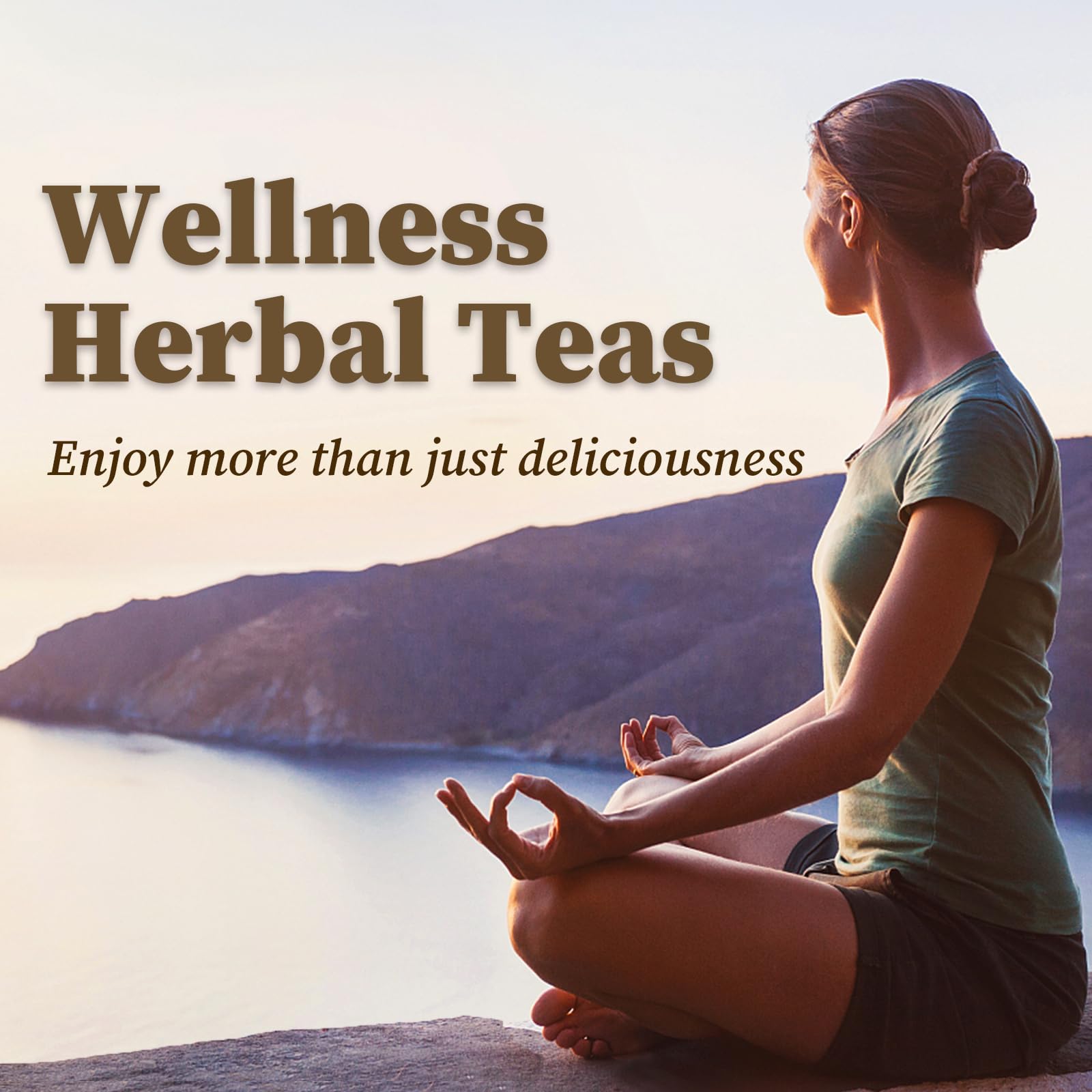 FullChea ginseng tea for immune support