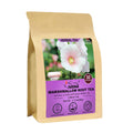 FullChea marshmallow root herbal tea