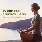 fullchea moringa tea for wellness