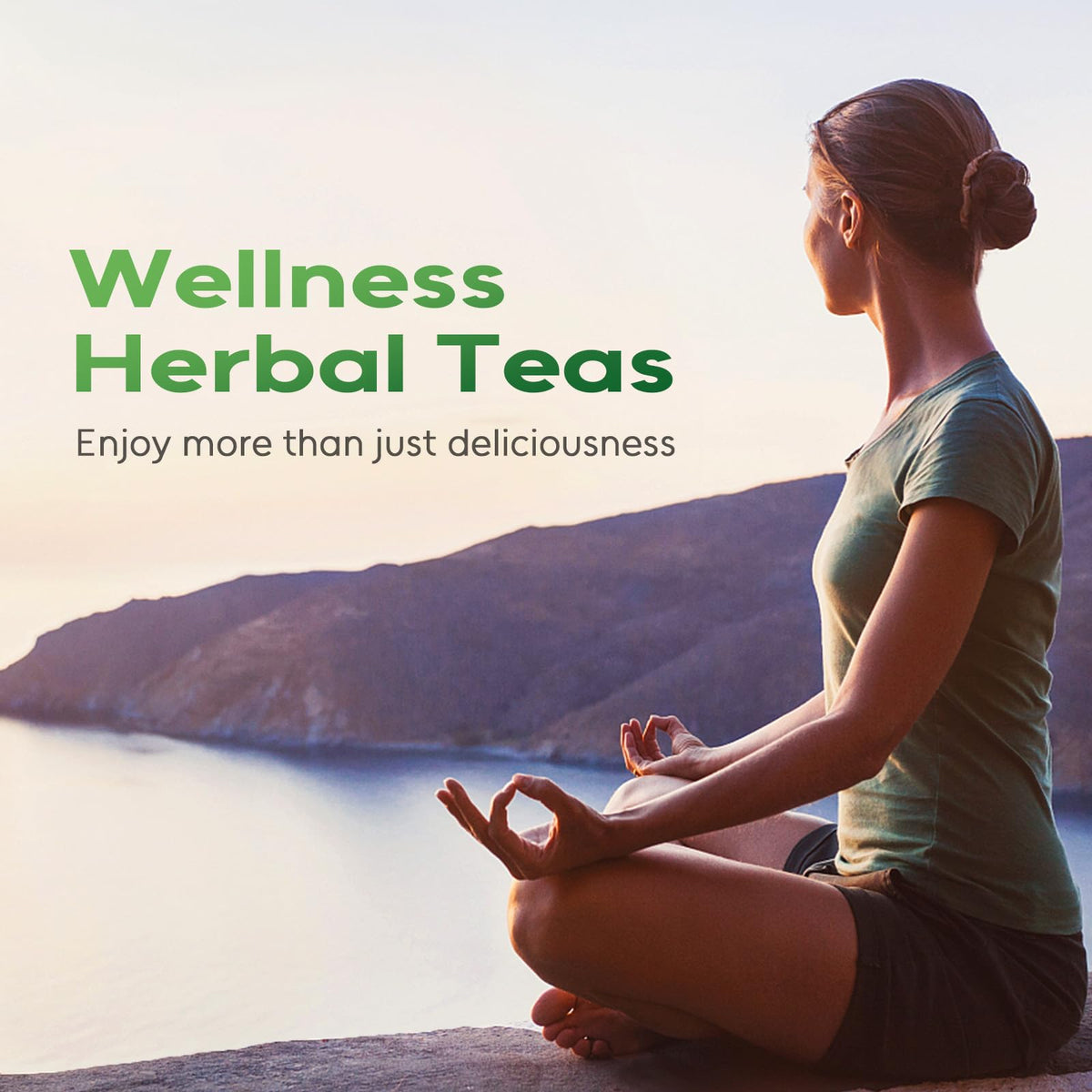 FullChea wormwood for herbal remedies