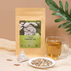 FullChea yarrow tea for immune support